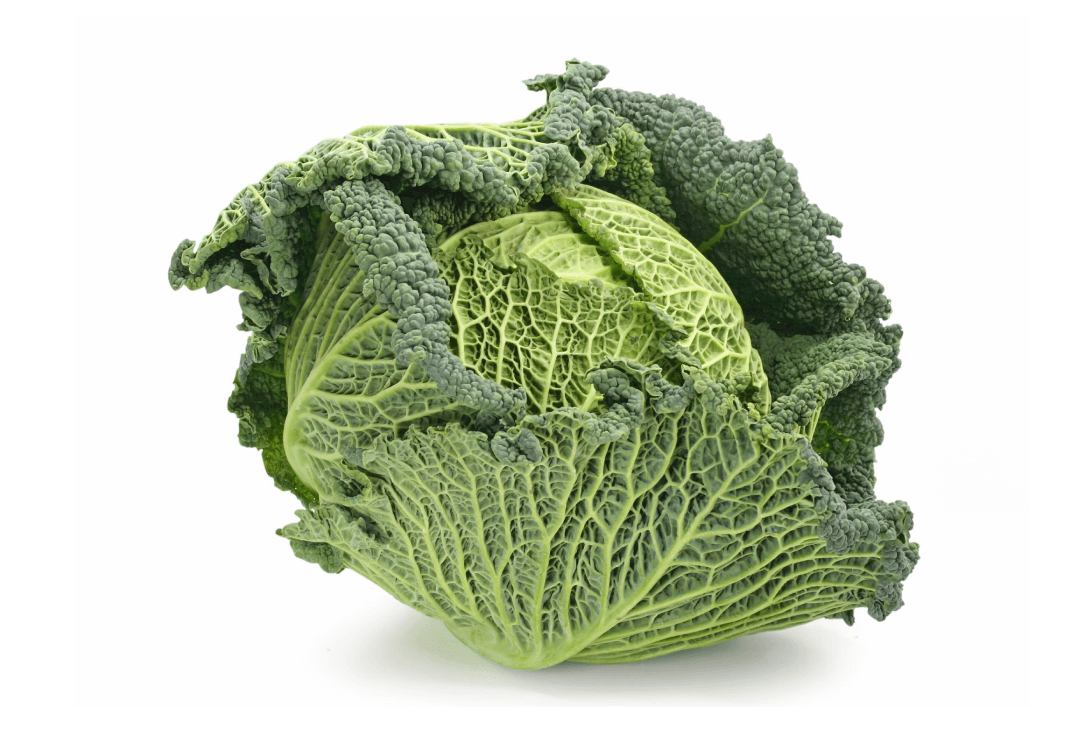 Fresh Scottish Vegetables | ESG Drysdale Products