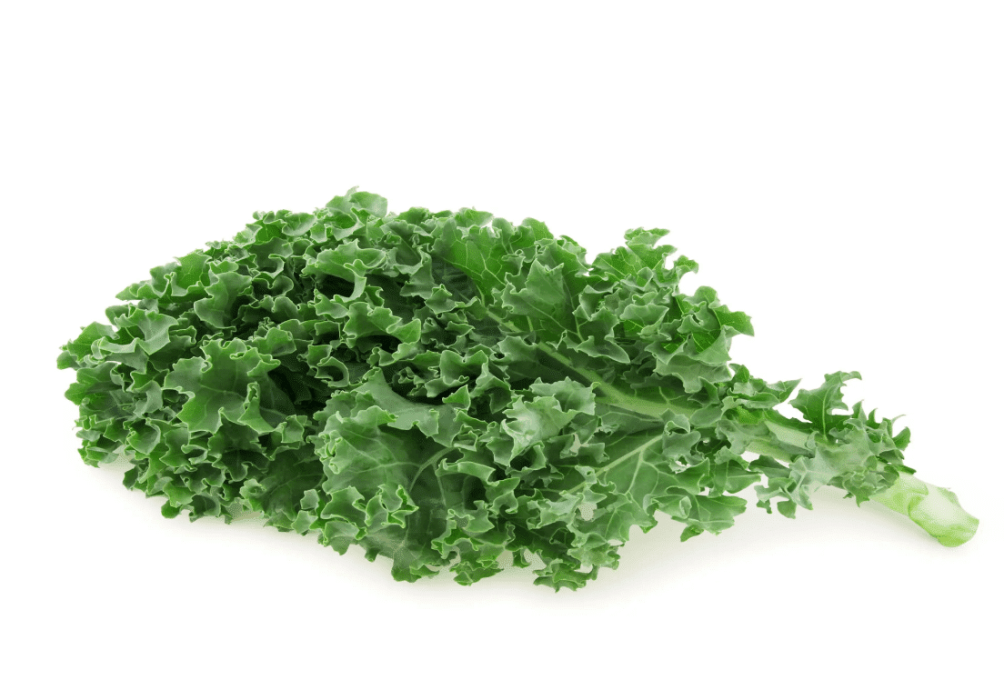 Nutritious Kale Varieties | ESG Drysdale