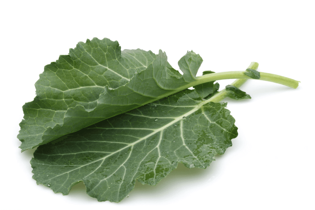 Crisp Spring Greens | ESG Drysdale